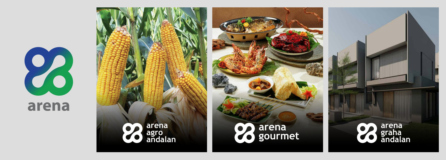 Arena Group - Enriching Modern Life through Innovation, Quality ...